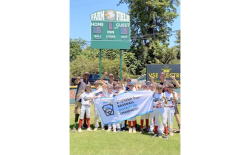 Encino Little League > Home